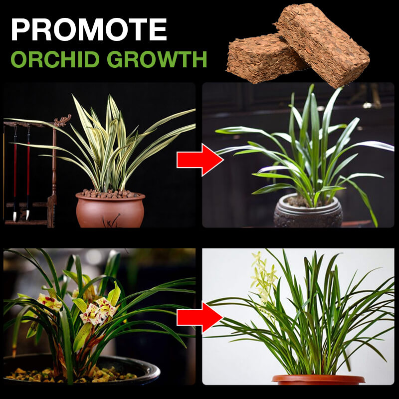 Orchid specific small coconut shell brick nutrient soil – firstroost-us